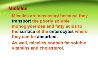 Metabolism of lipid | PPTX