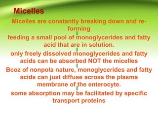 Metabolism of lipid | PPTX