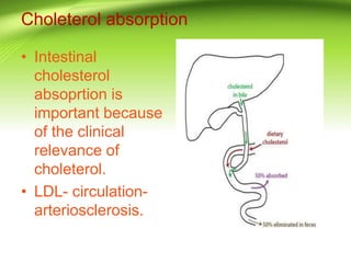 Metabolism of lipid | PPTX