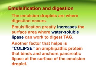 Metabolism of lipid | PPTX