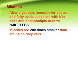 Metabolism of lipid | PPTX