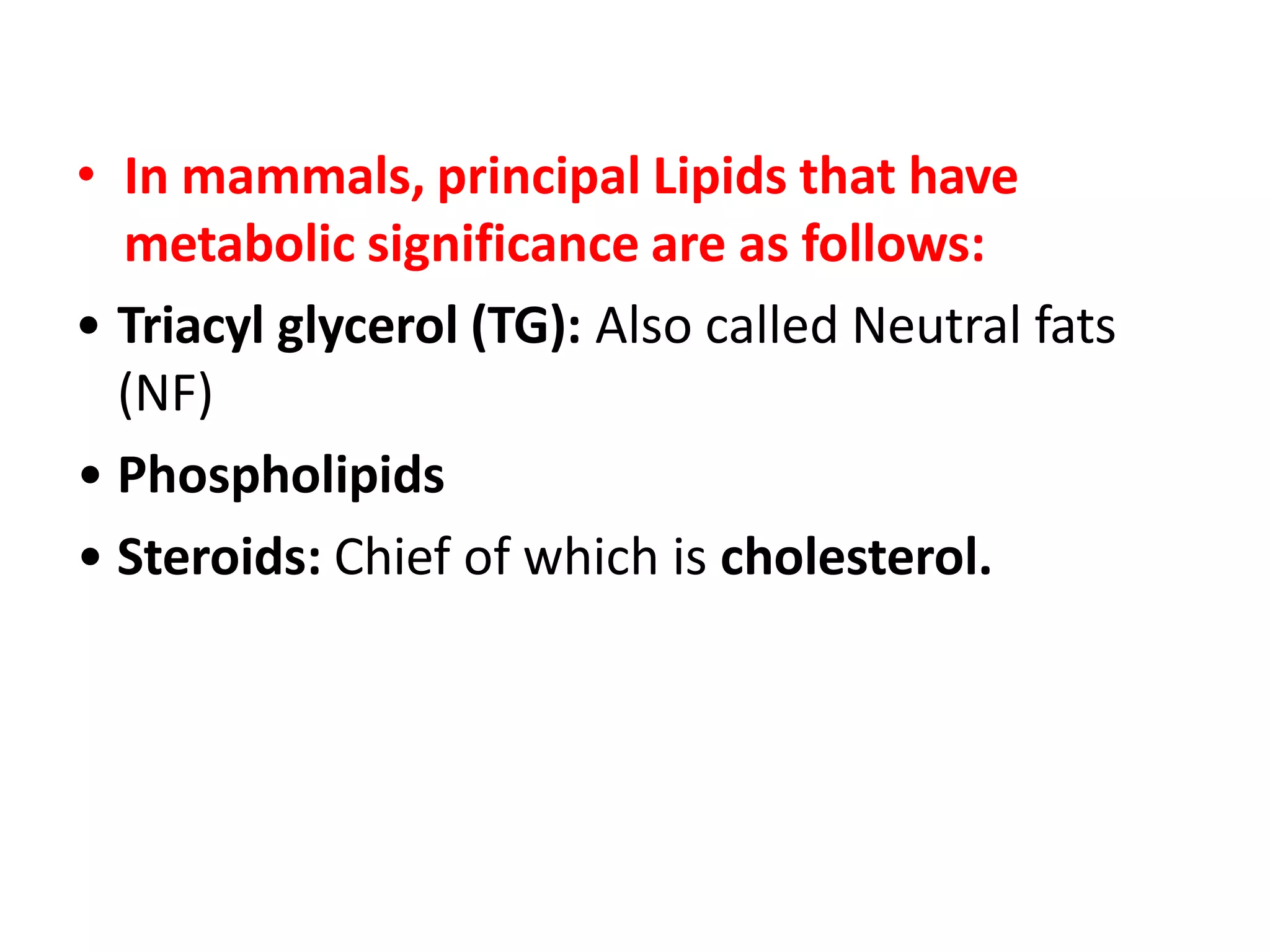 Metabolism of Lipids.pptx