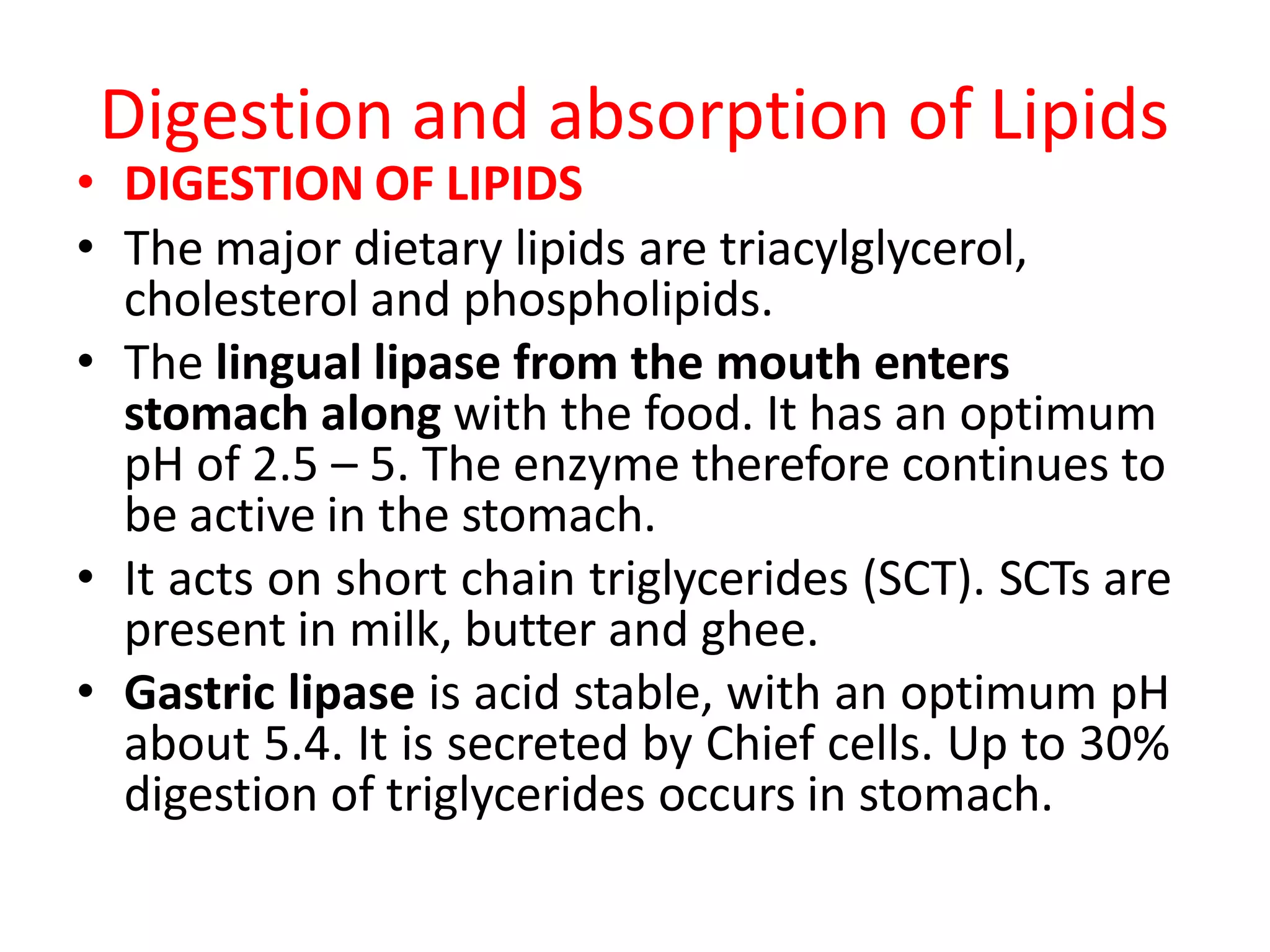 Metabolism of Lipids.pptx