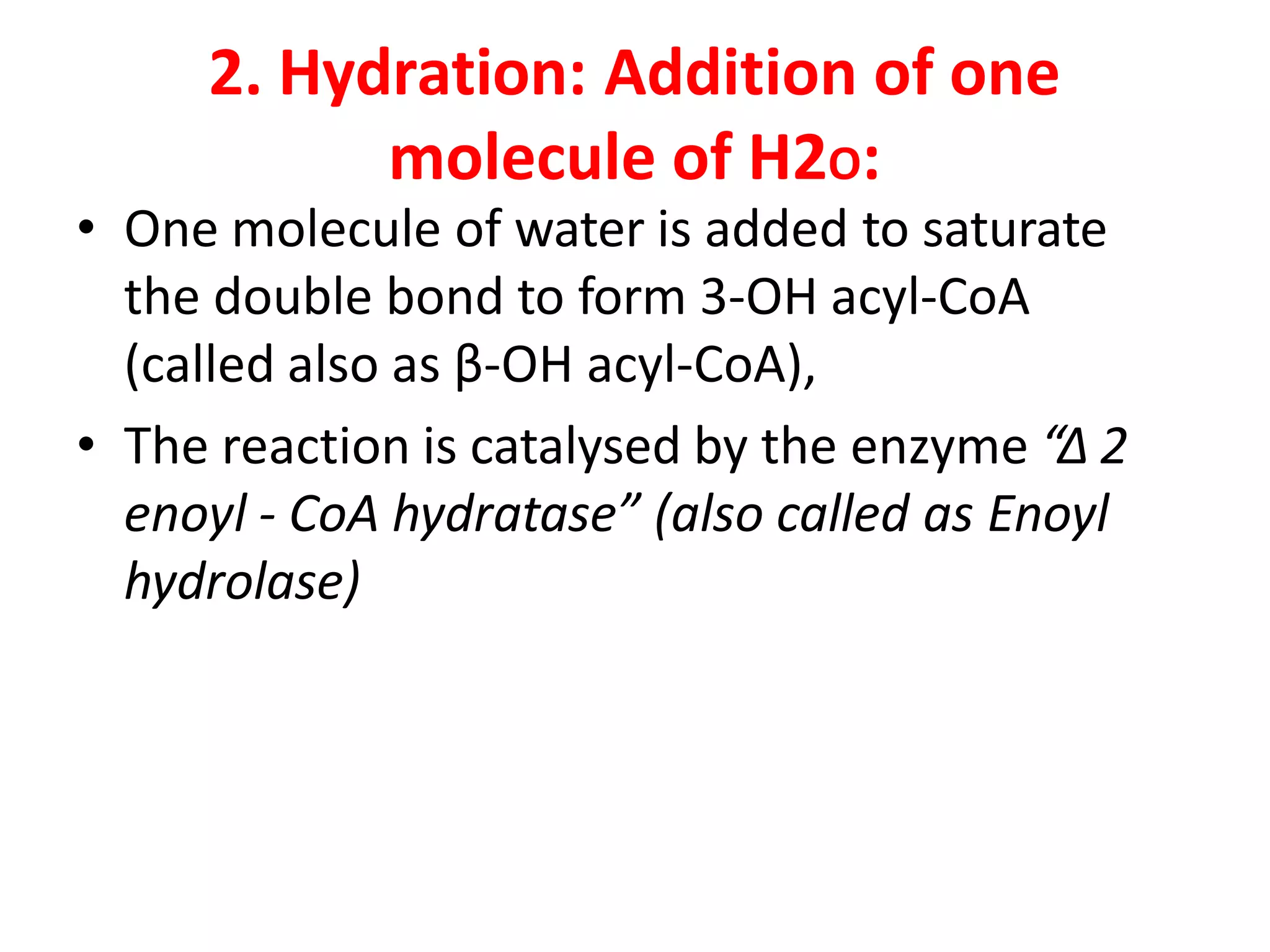 Metabolism of Lipids.pptx