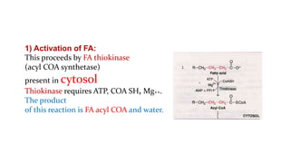 Metabolism of lipids .pptx