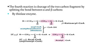 Metabolism of lipids .pptx