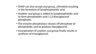Metabolism of lipids .pptx