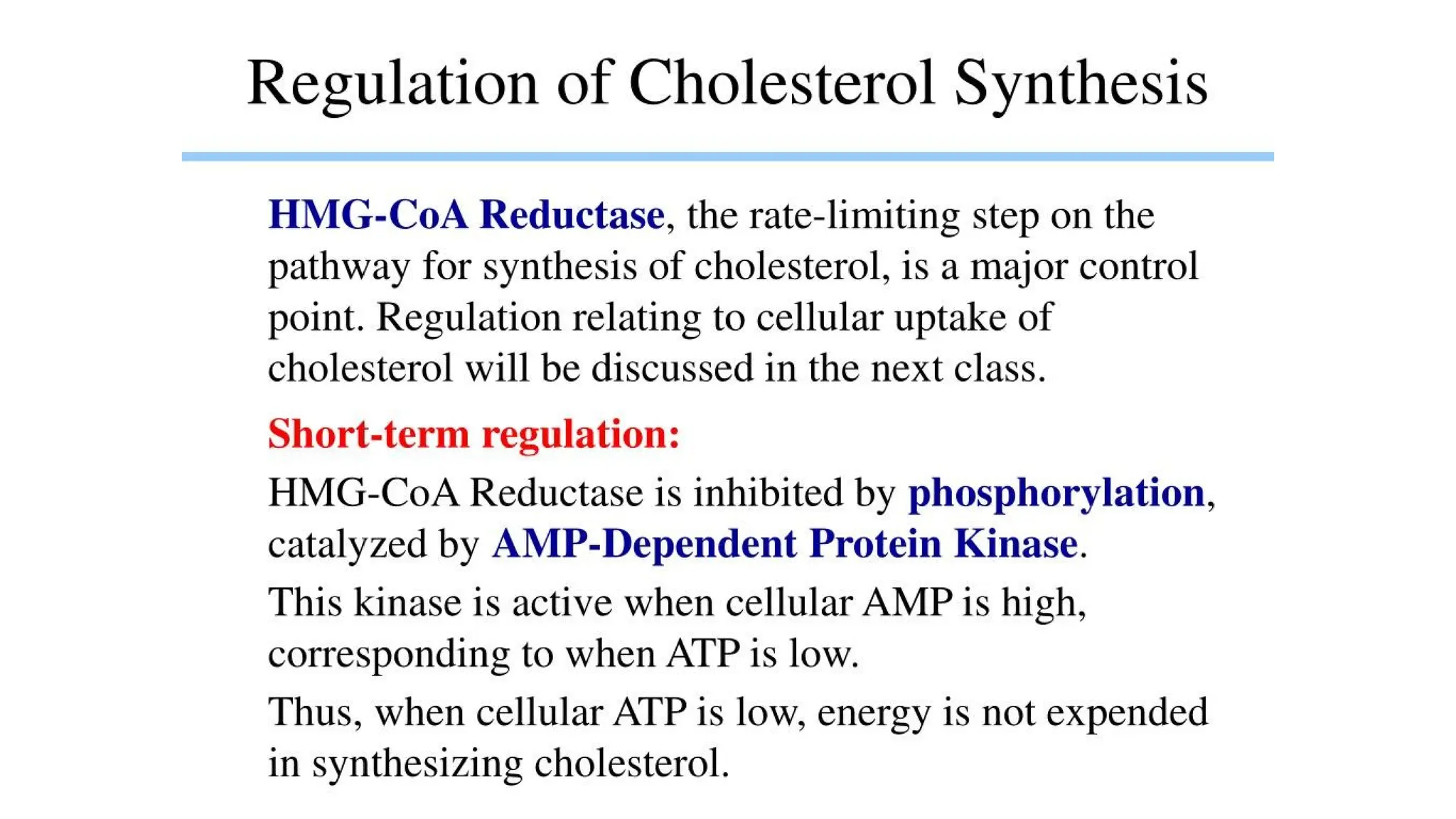 Metabolism of Lipids. Definition of Lipids , categories, precursor of ...