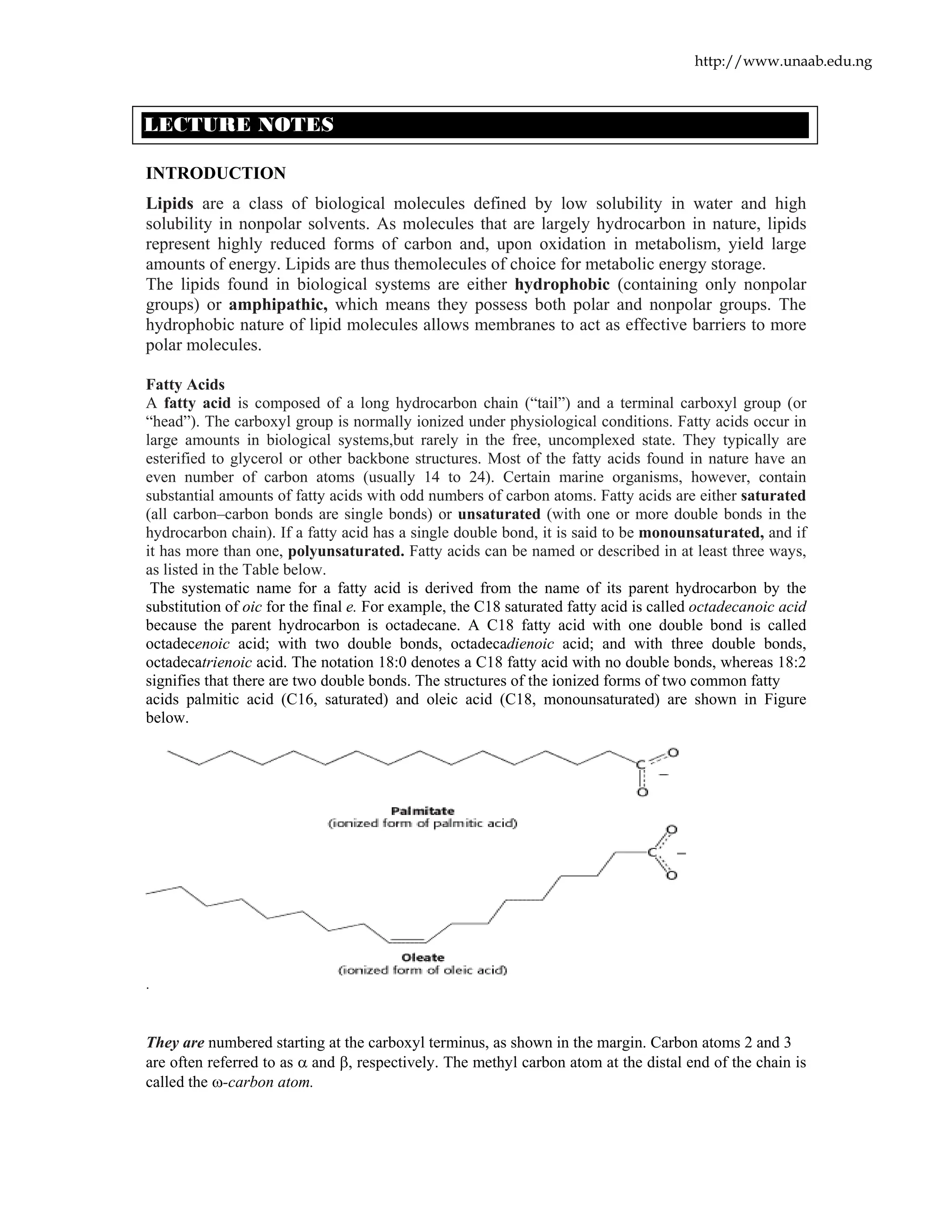 Metabolism of lipids.pdf for medical biochemists and medicine | PDF