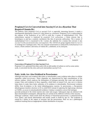 Metabolism of lipids.pdf for medical biochemists and medicine | PDF