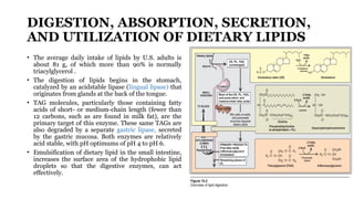 Metabolism of Lipids.pptx, biochemistry | PPTX
