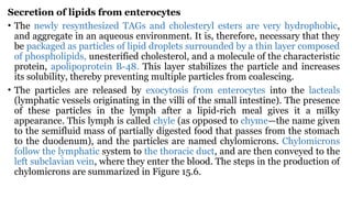Metabolism of Lipids.pptx, biochemistry | PPTX