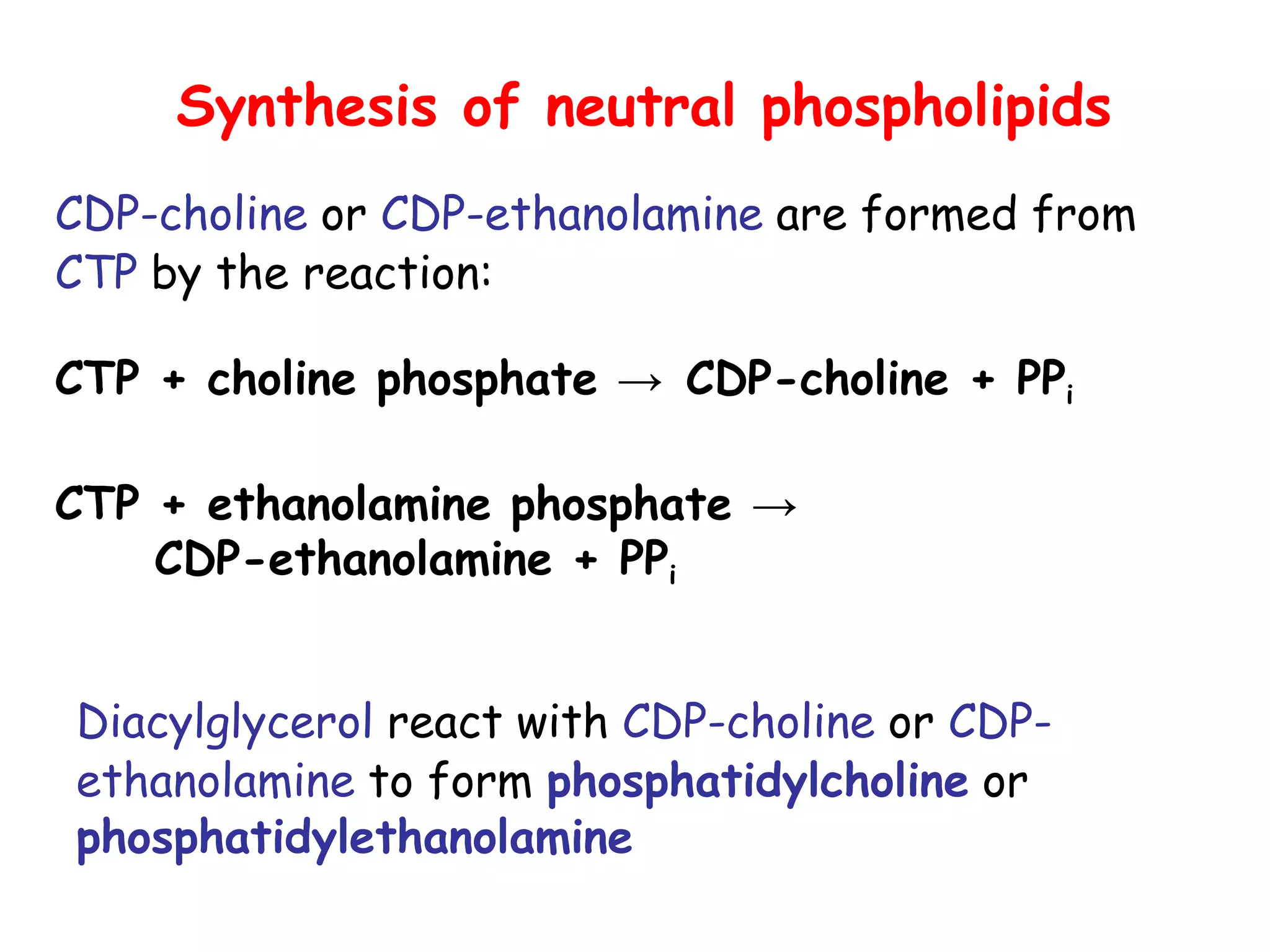 Metabolismoflipids part 2 | PPTX