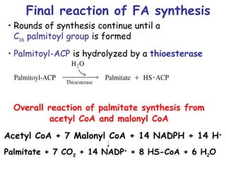 Metabolismoflipids part 2 | PPTX