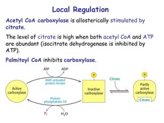Metabolismoflipids part 2 | PPTX
