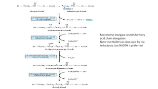 Metabolism of Lipids PT.pdf explanation for presentation | PPT