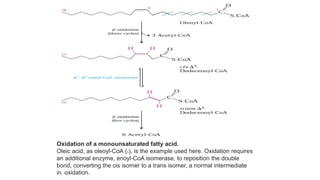Metabolism of Lipids PT.pdf explanation for presentation | PPT