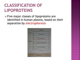 Metabolism of lipoproteins | PPT