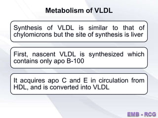 Vldl Metabolism