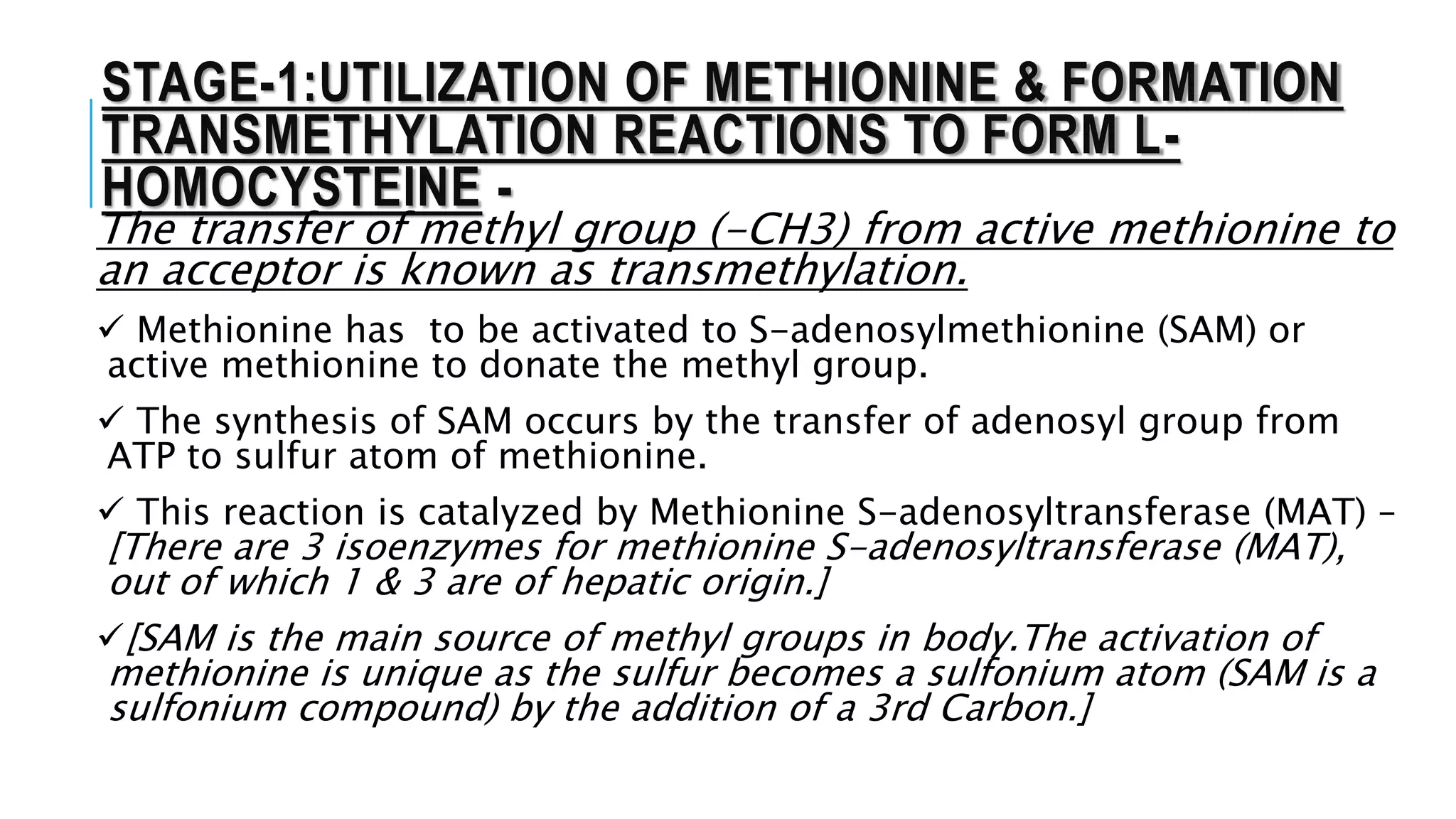 METABOLISM OF METHIONINE | PPTX