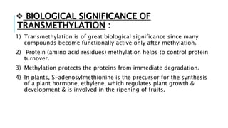 METABOLISM OF METHIONINE | PPTX