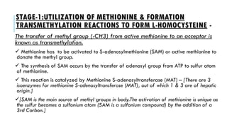 METABOLISM OF METHIONINE | PDF | Chemistry | Science