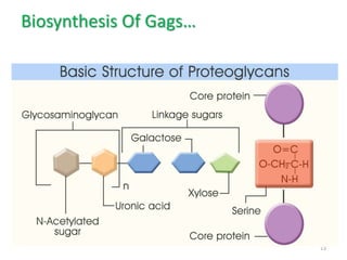 Metabolism of mucopolysaccharides | PPTX