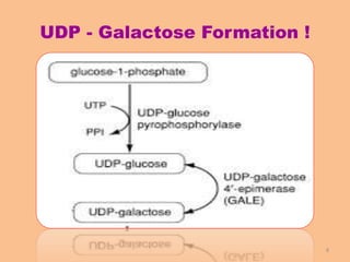 Metabolism of mucopolysaccharides | PPTX