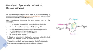 Metabolism of Nucleic Acids | PPTX