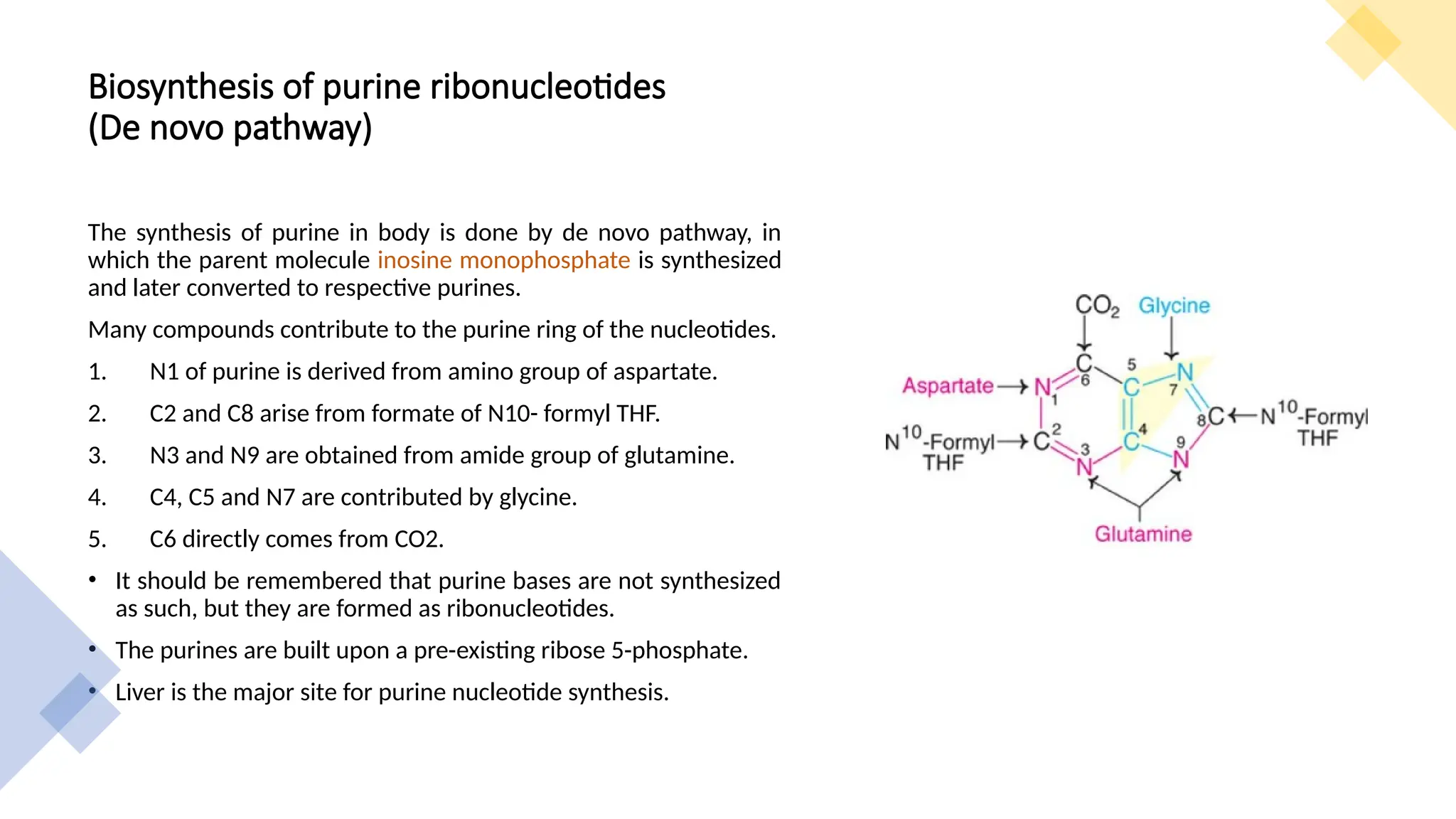Metabolism of nucleic acids and relevance.pptx