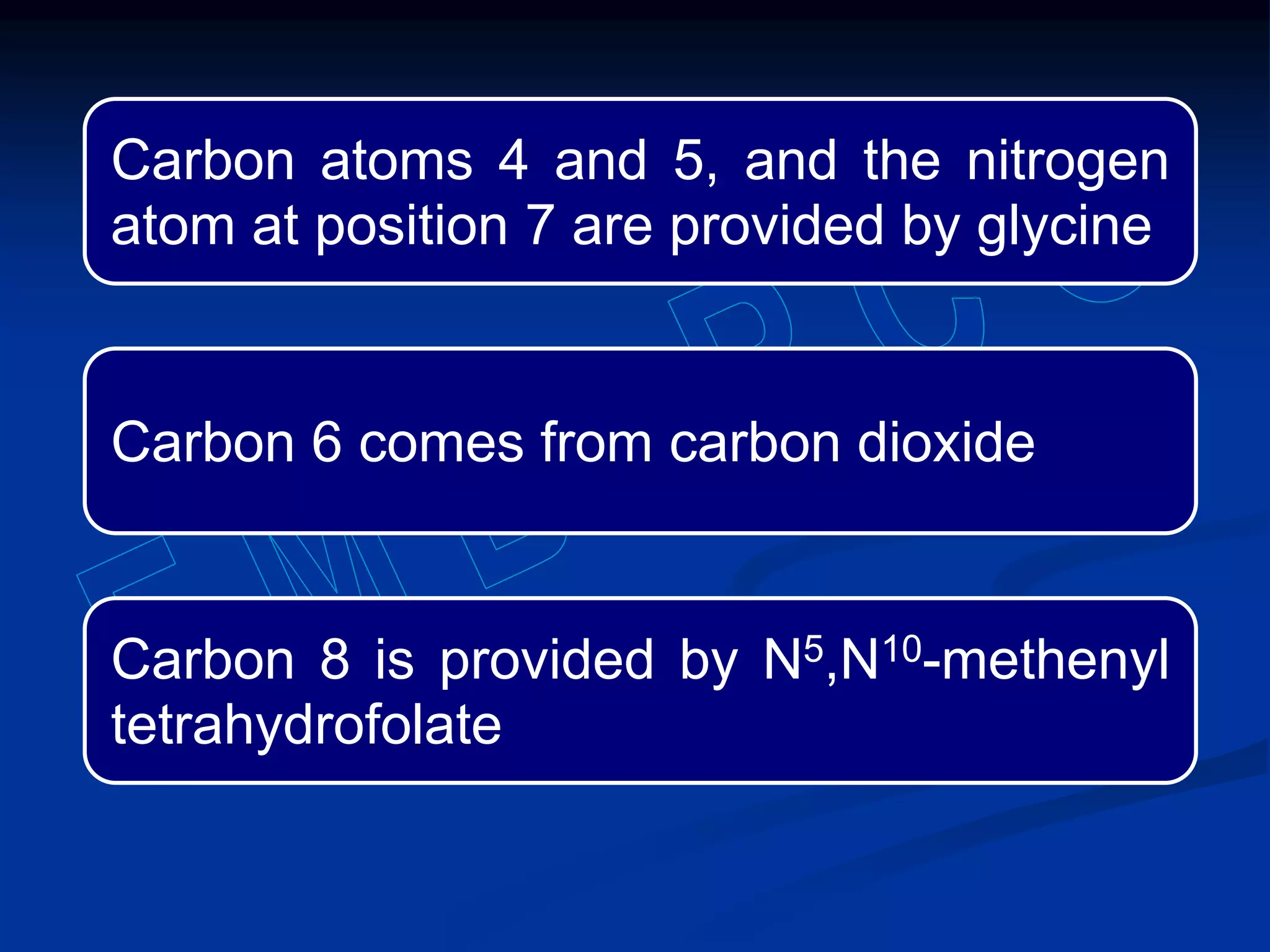 Metabolism of nucleotides | PPTX