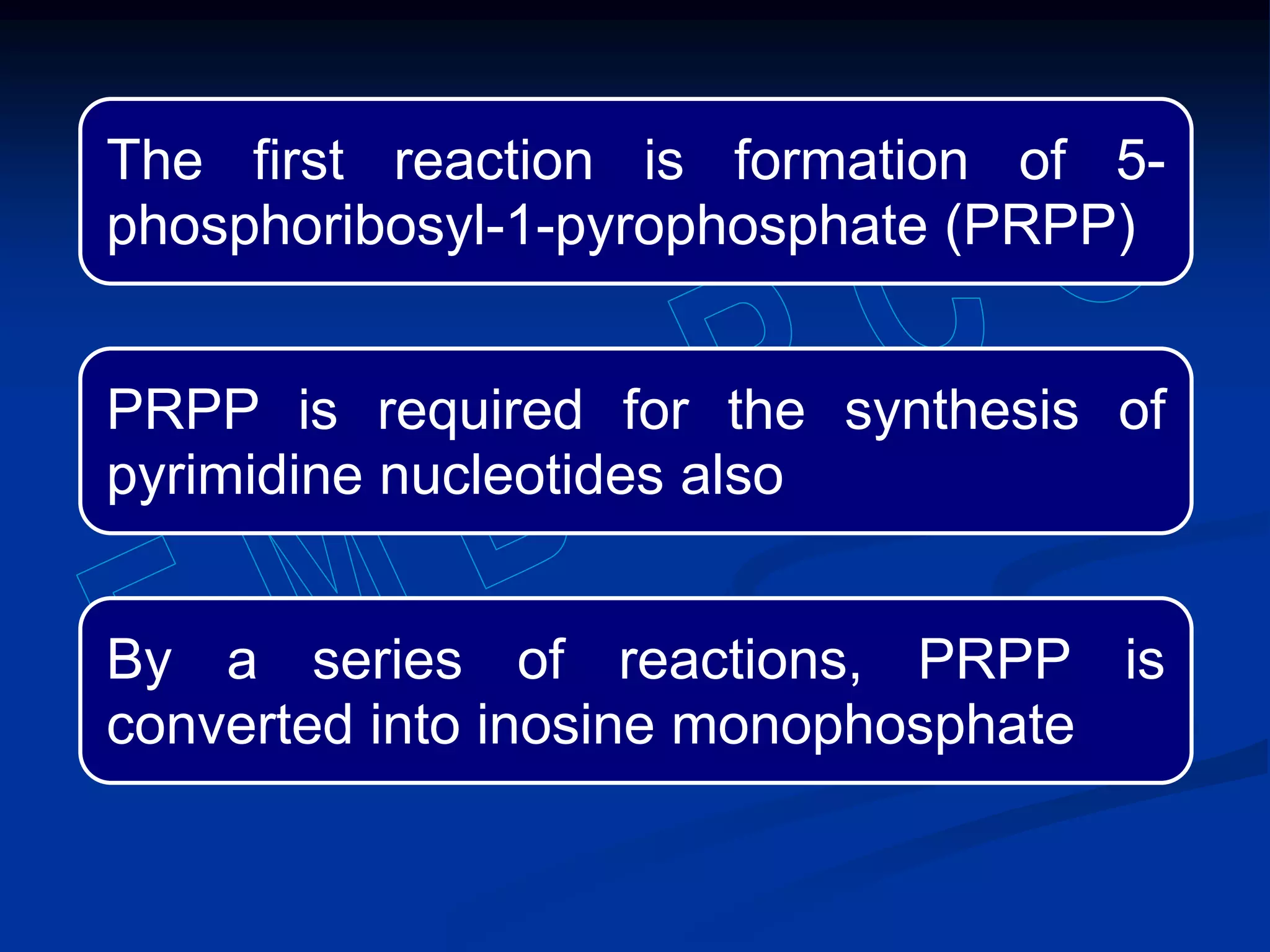 Metabolism of nucleotides | PPTX