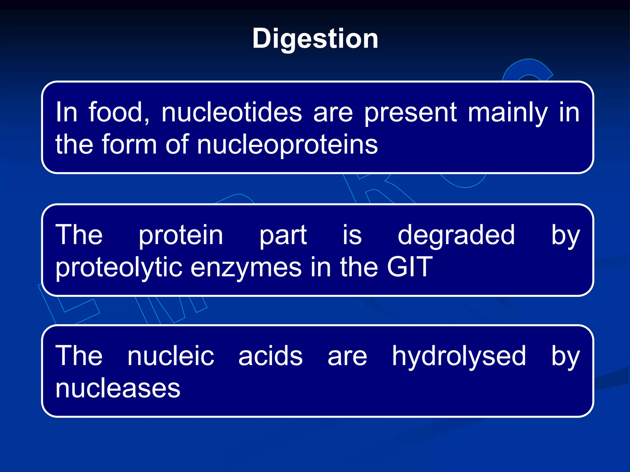 Metabolism of nucleotides | PPTX