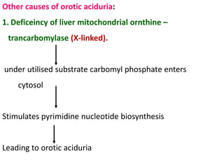 Orotic Aciduria Usmle