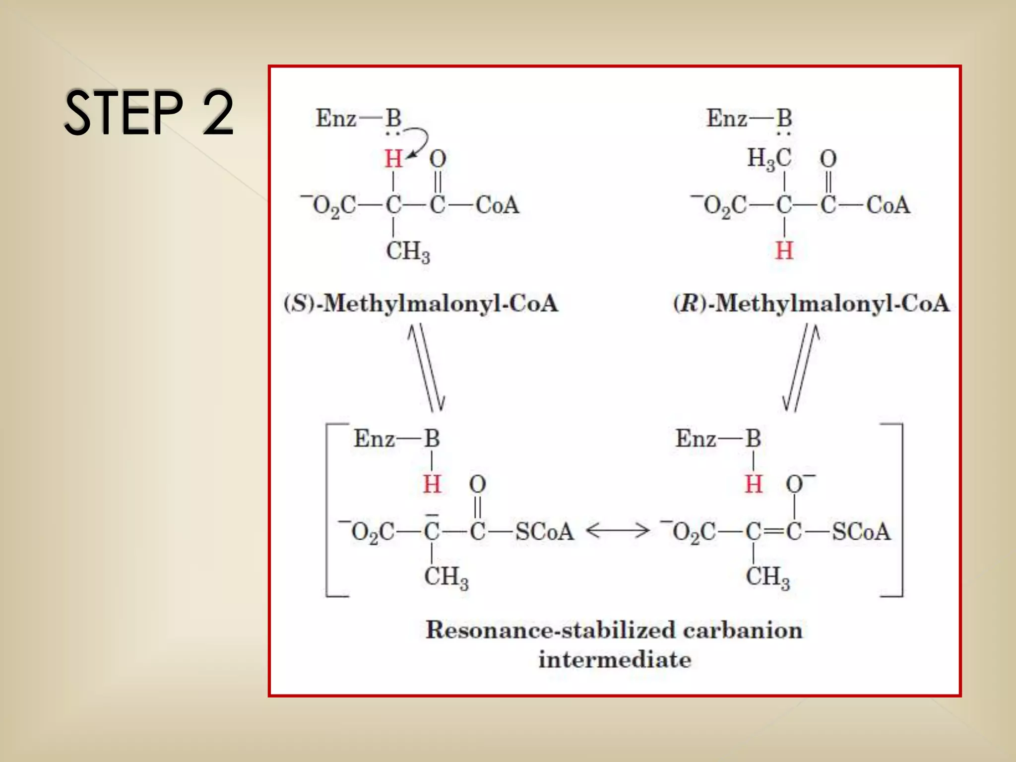 Metabolism of odd chain fatty acids | PPTX