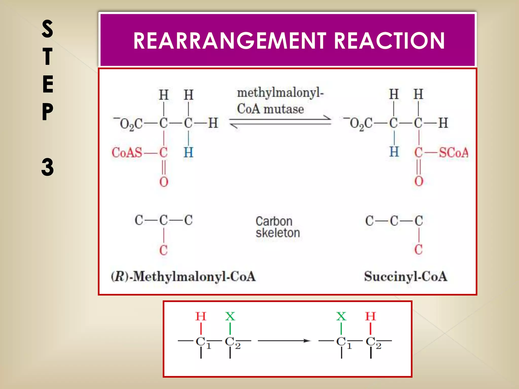 Metabolism of odd chain fatty acids | PPTX