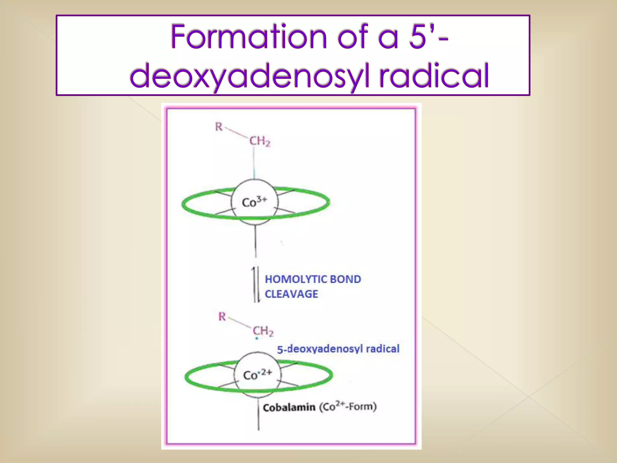 Metabolism of odd chain fatty acids | PPTX