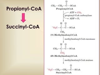 Metabolism of odd chain fatty acids | PPTX
