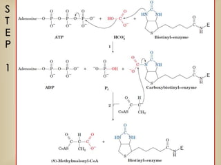 Metabolism of odd chain fatty acids | PPTX