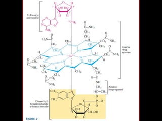 Metabolism of odd chain fatty acids | PPTX
