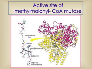 Metabolism of odd chain fatty acids | PPTX