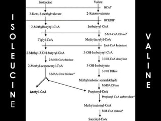 Metabolism of odd chain fatty acids | PPTX
