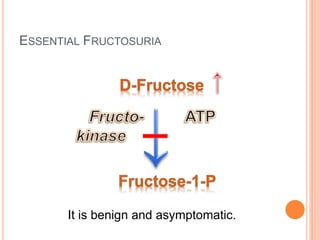 Metabolism of Other Hexoses | PPTX