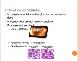 Metabolism of Other Hexoses | PPTX