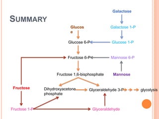 Hexose Sugar