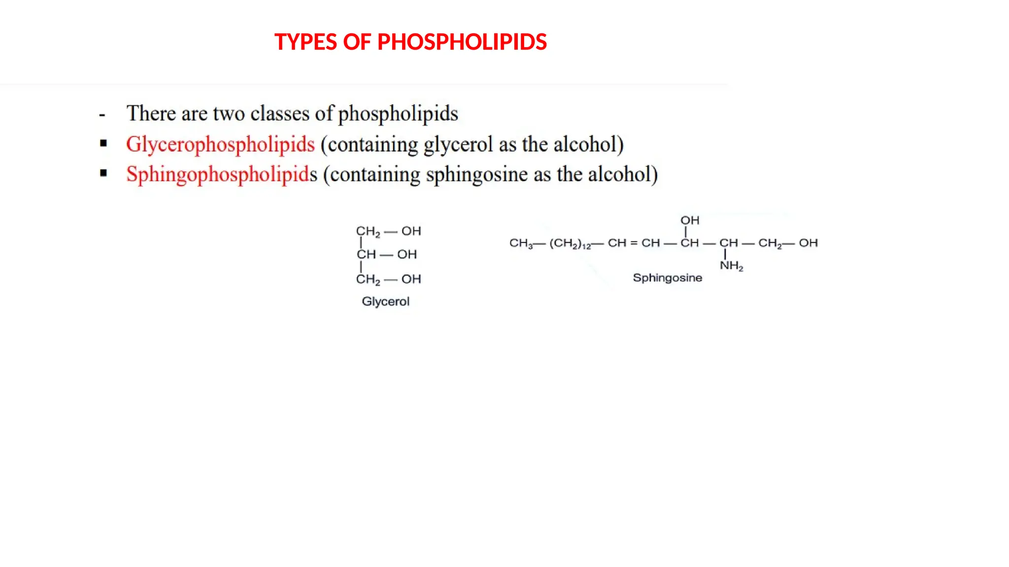 Metabolism of Phospholipids, pathways .pptx