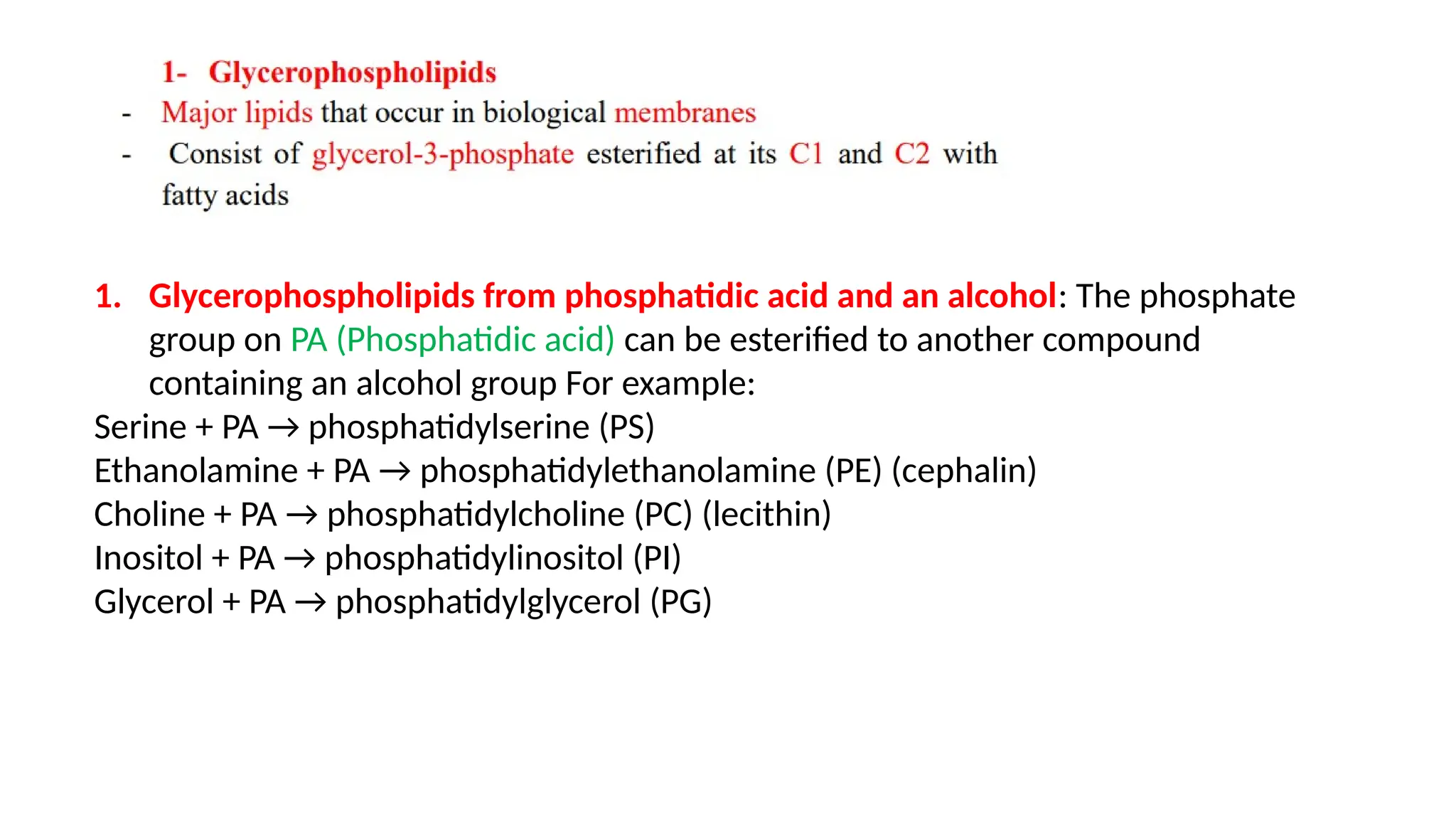Metabolism of Phospholipids, pathways .pptx