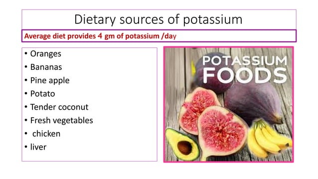 Metabolism of potassium and its clinical significance | PDF | Digestive ...