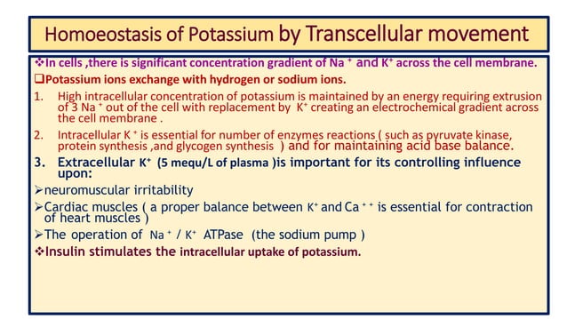 Metabolism of potassium and its clinical significance | PDF | Digestive ...