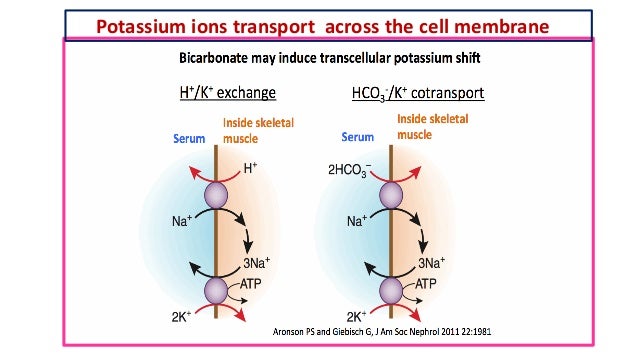 Metabolism of potassium and its clinical significance